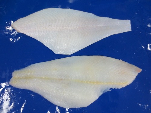 Yellow Fin Sole
