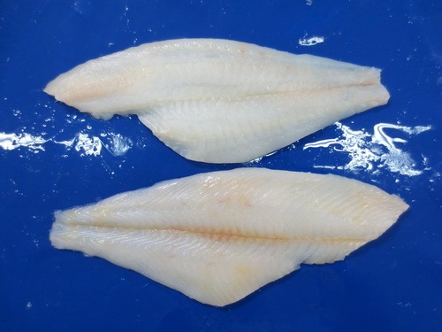 Yellowfin Sole
